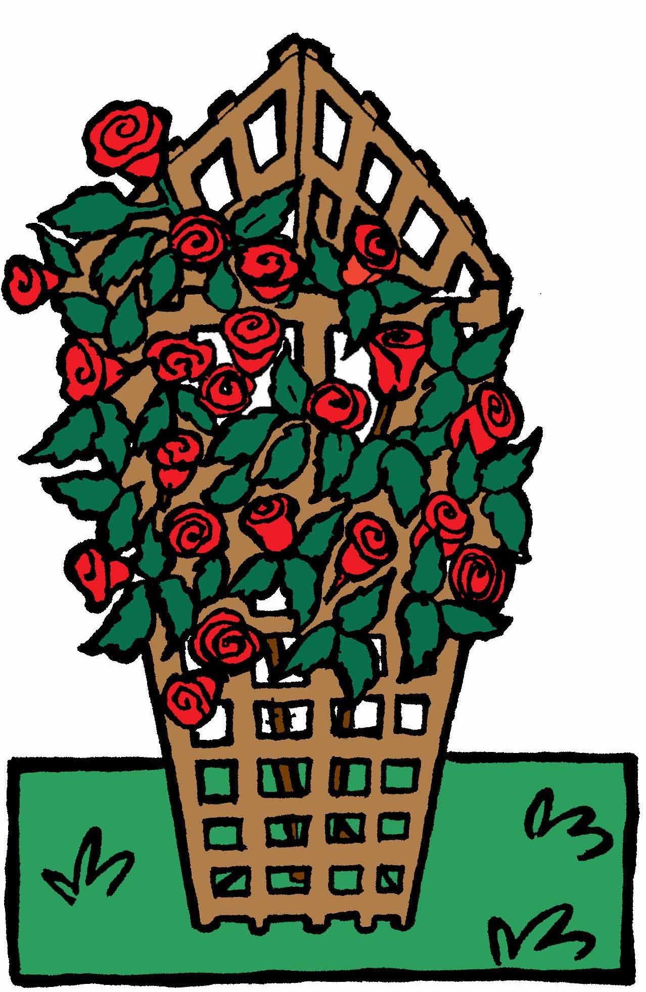 Your Own Easy Peasy Rose Pillar - Laidback Gardener