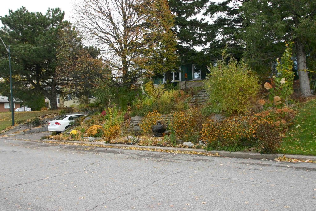 Think Twice about Cookie-Cutter Landscapes - Laidback Gardener