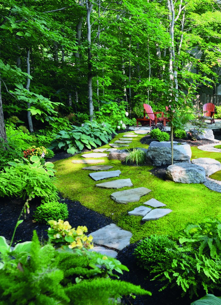 Start Your Own Moss Lawn - Laidback Gardener