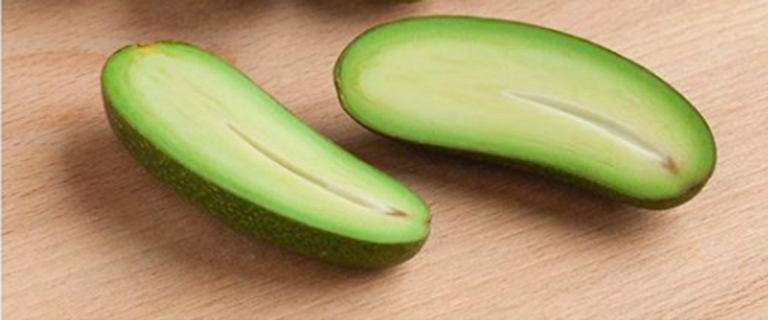 The Trendiest Fruit: The Seedless Avocado! - Laidback Gardener
