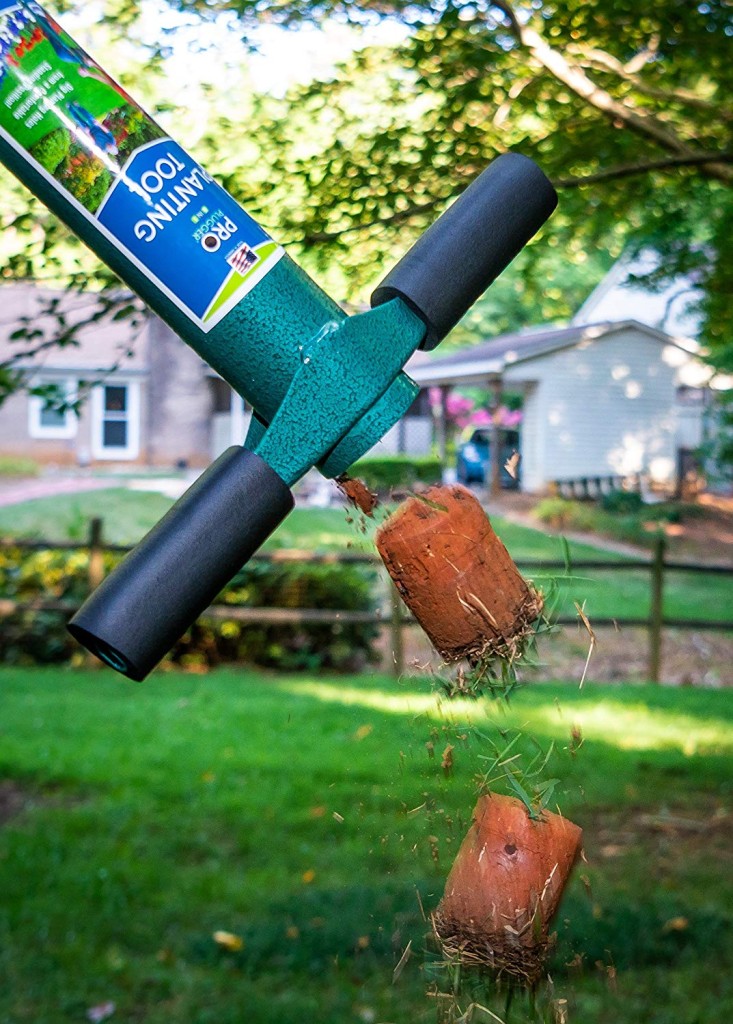 My New Favorite Bulb-Planting Tool - Laidback Gardener