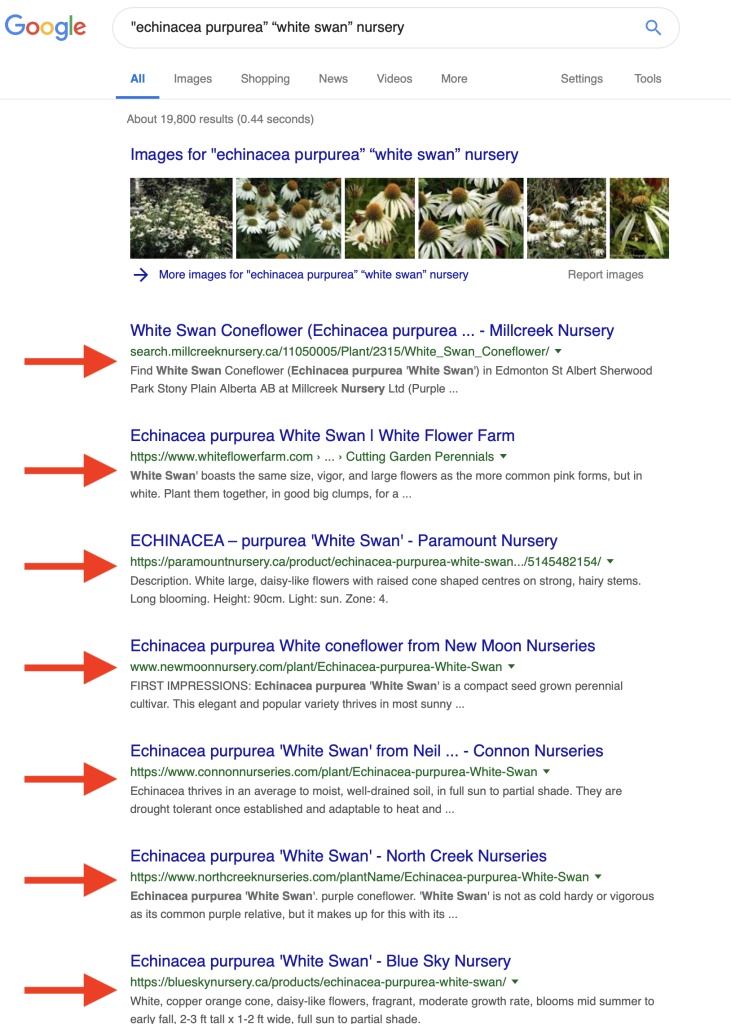 How to Find That Special Plant on the Internet - Laidback Gardener