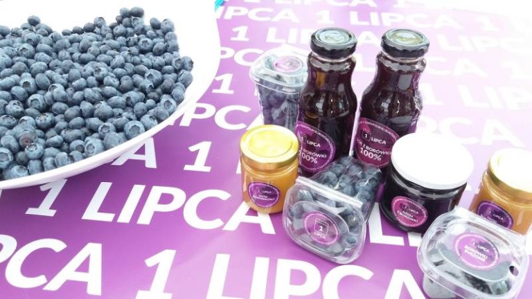 July 1st is Polish Blueberry Day! - Laidback Gardener