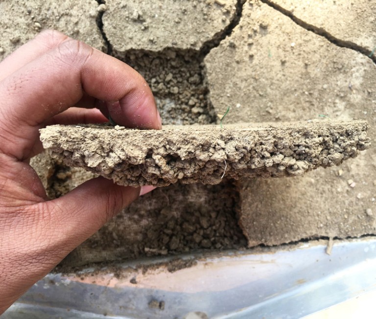 What are Soil Aggregates? - Laidback Gardener