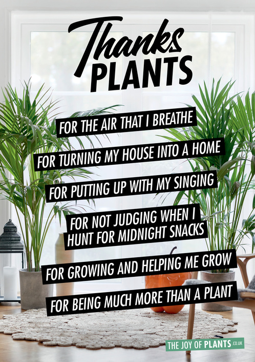 THANKS PLANTS! - Laidback Gardener