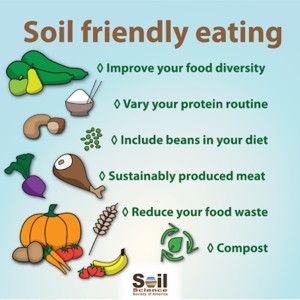 WHAT IS “SOIL-FRIENDLY” EATING? - Laidback Gardener