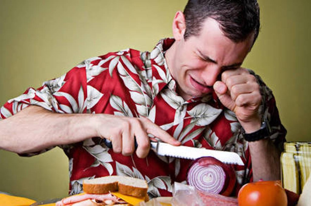 30 Fun Facts About Plants - Laidback Gardener