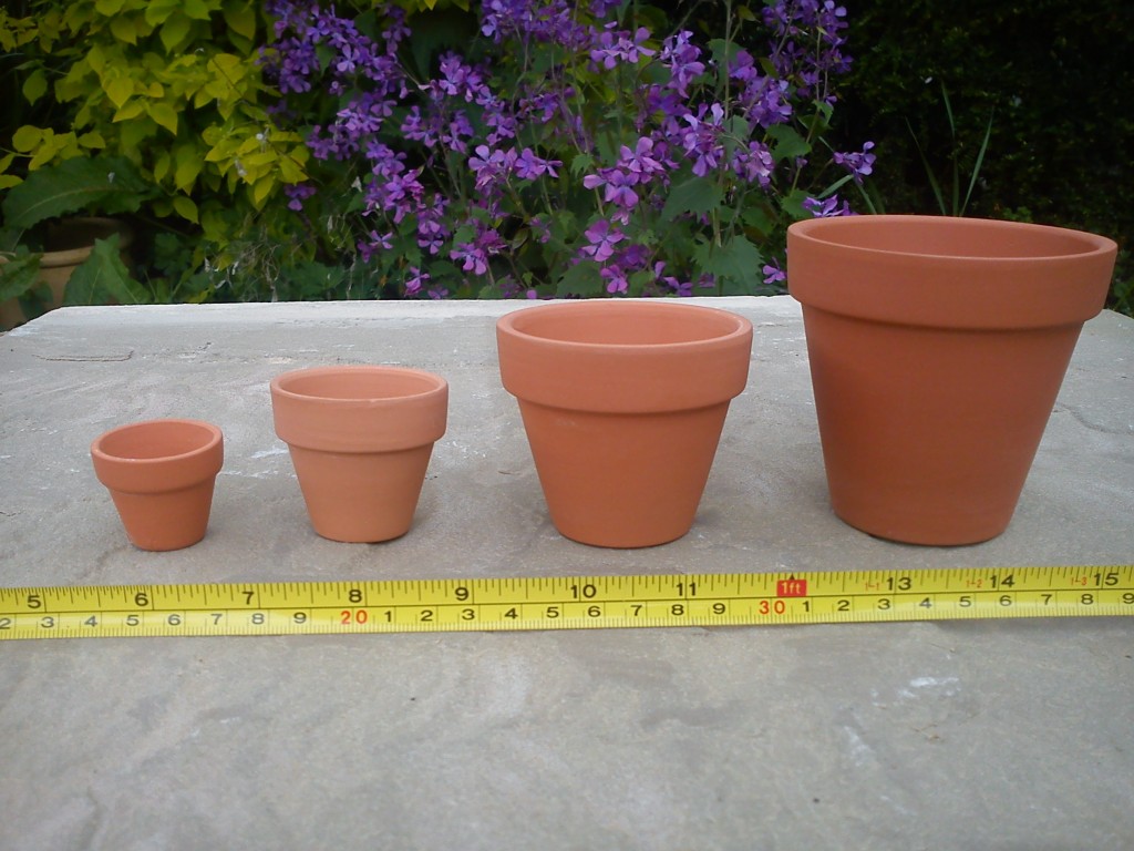 Why Must We Start Houseplants in Small Pots? - Laidback Gardener