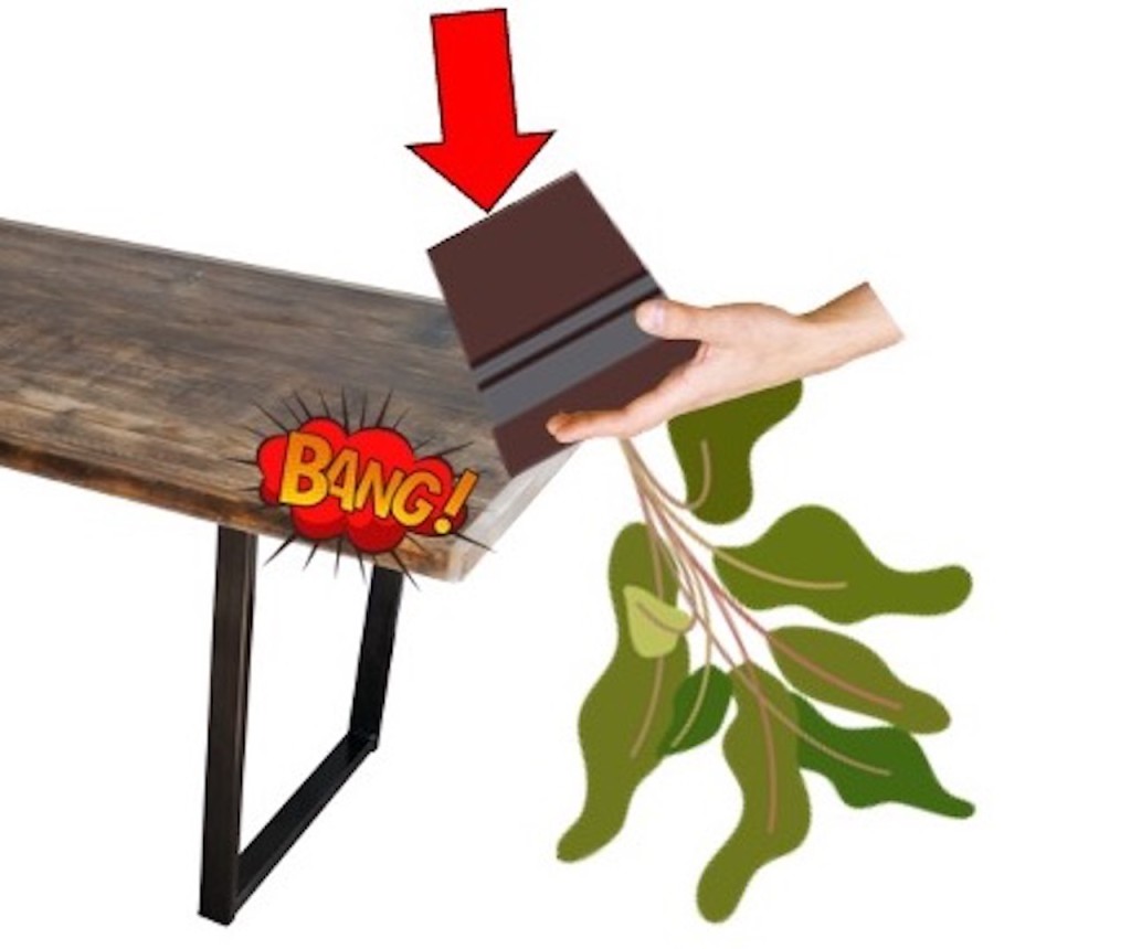 How to Remove a Pot With Minimal Root Damage - Laidback Gardener