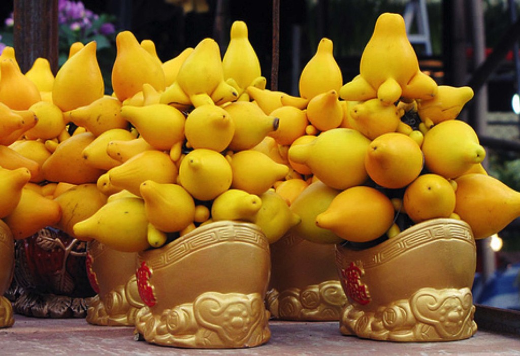 Good Luck Plants for the Chinese New Year - Laidback Gardener