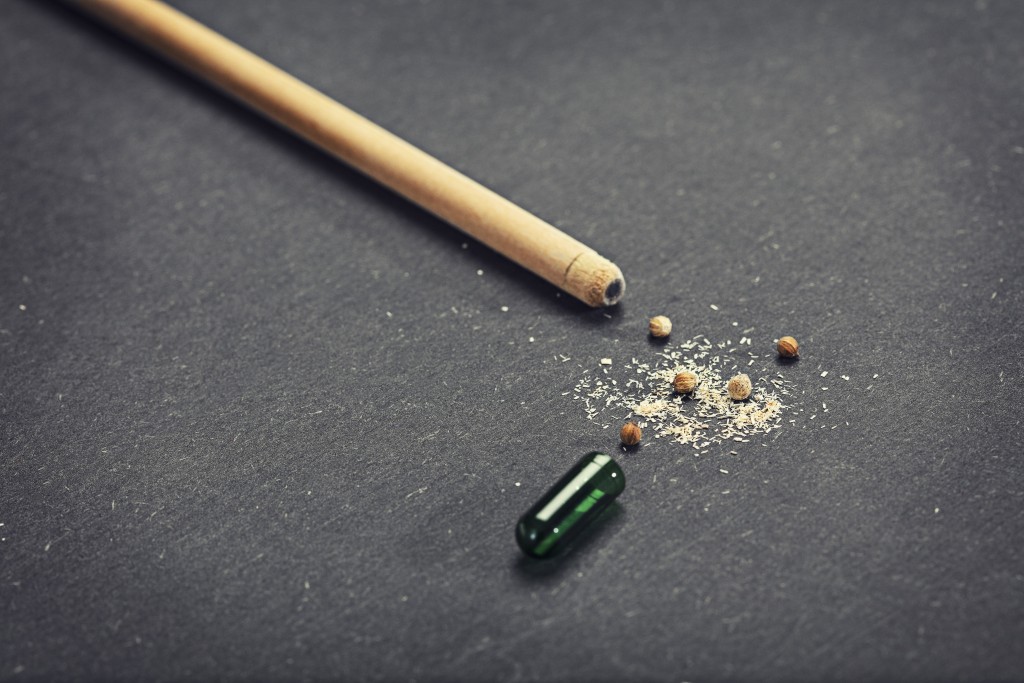 A Plantable Pencil - Laidback Gardener