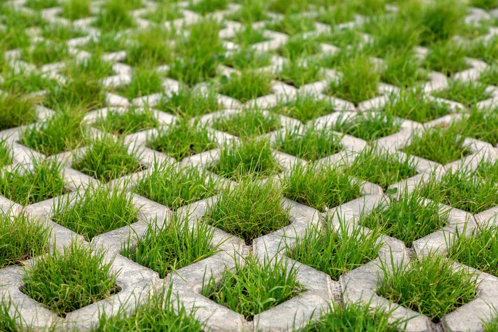 Why and How to Promote Water Infiltration in the Garden? - Laidback ...