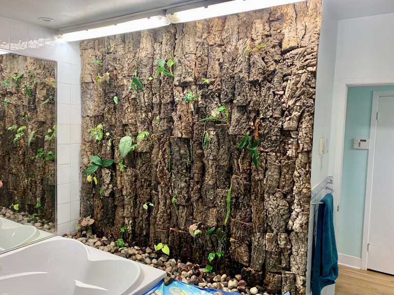 Green Wall Reboot - Laidback Gardener