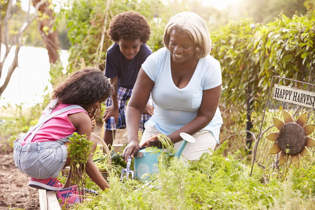 Eight Common Gardening Myths - Laidback Gardener