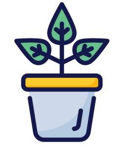 Silver Squill: The October 2022 Houseplant of the Month - Laidback Gardener