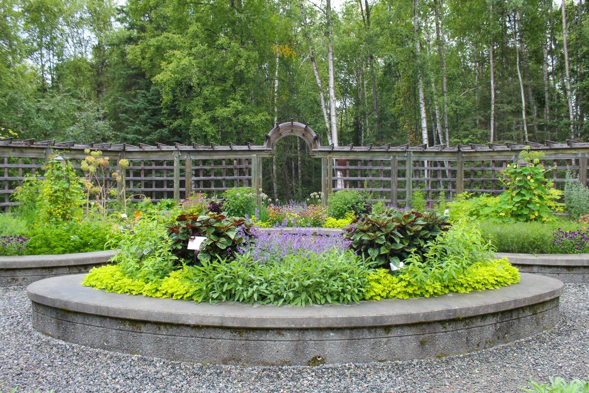 Musings from an Alaskan Gardener - Laidback Gardener