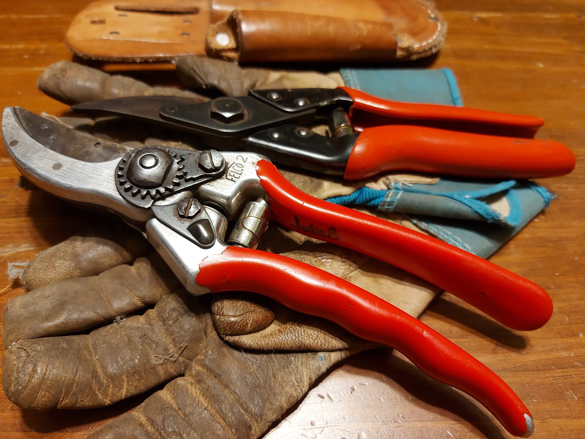 The (Almost) Eternally Lasting Pruning Shears - Laidback Gardener