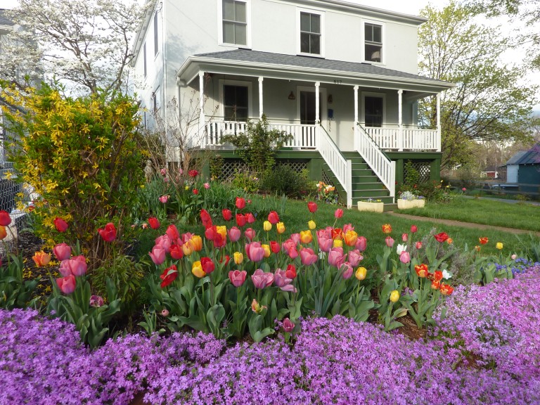 The Secret of Successful Landscape Design (And Why Many People Get It ...