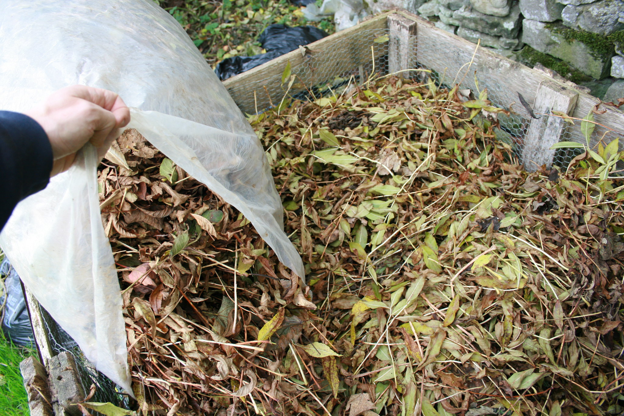 Tips for Chopping Up Your Leaves - Laidback Gardener