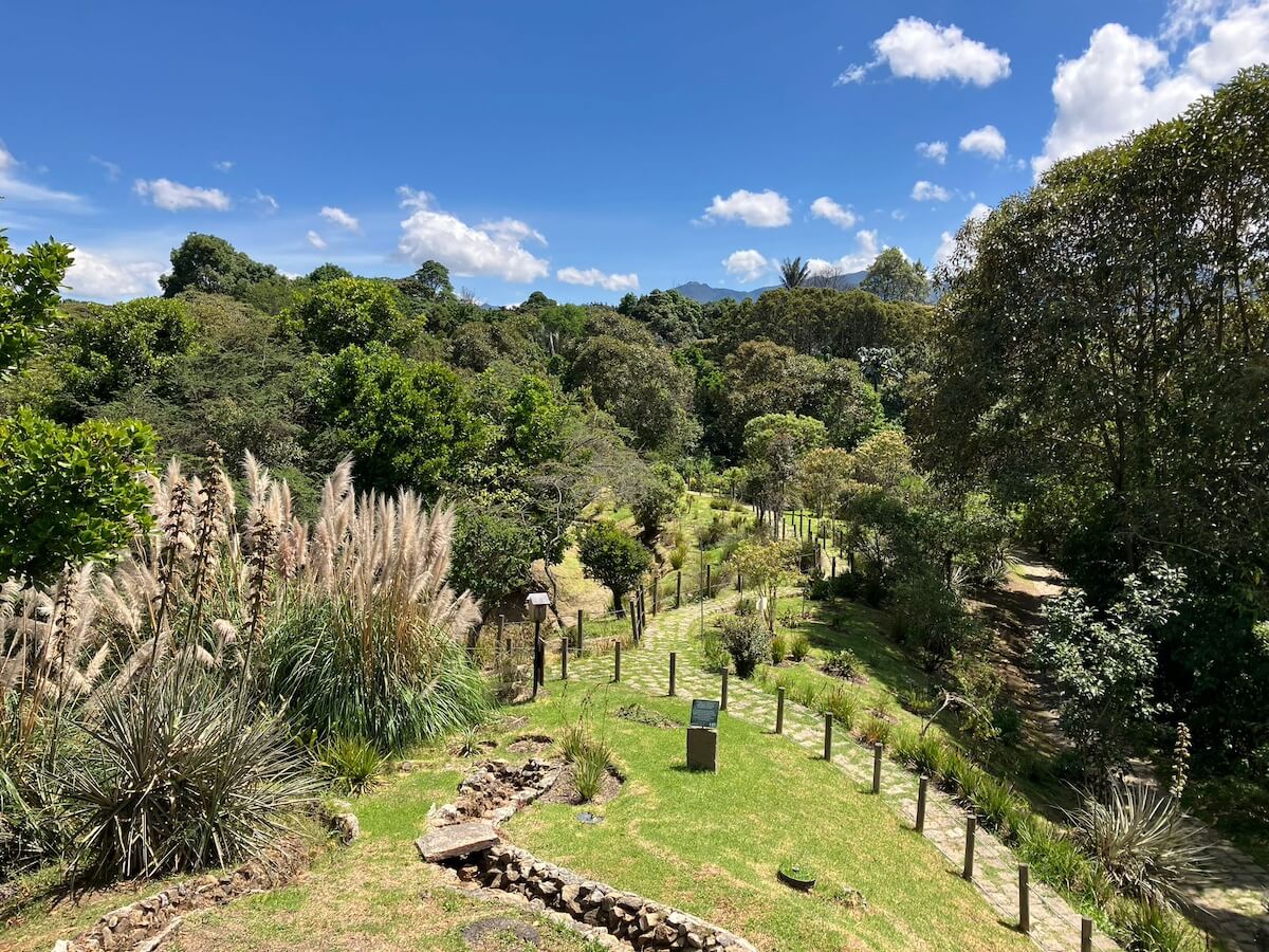 A Visit To Bogotá's Botanical Gardens - Laidback Gardener