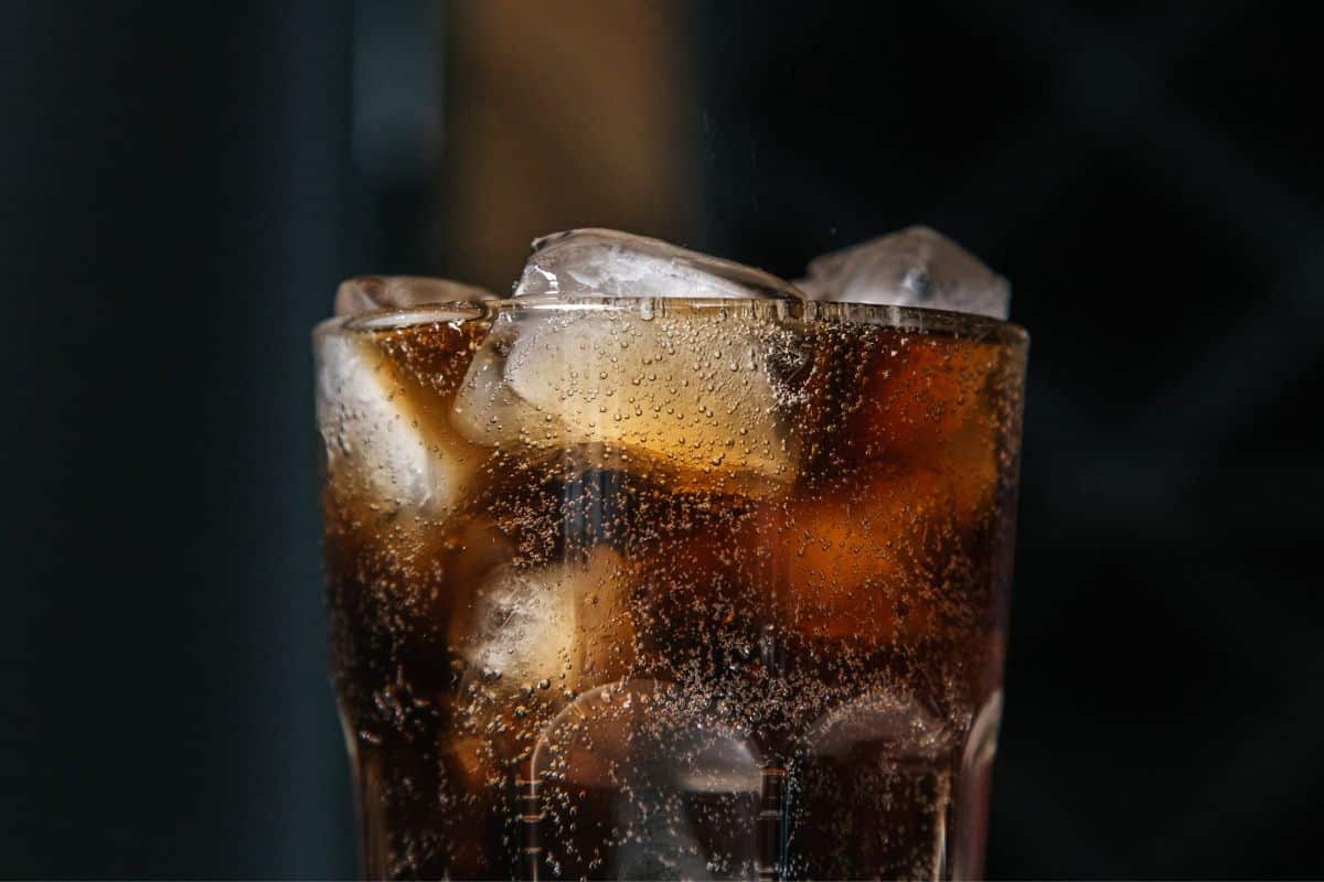 The Nut That Gave Coca-Cola Its Flavor - Unknown Plant Flavors Series ...